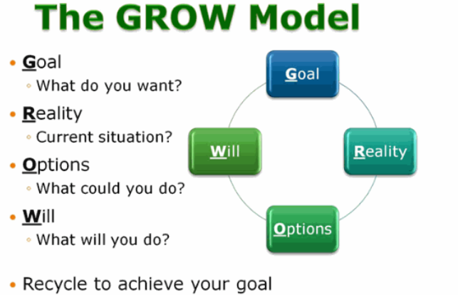 GROWth Model - Halina Jaroszewska