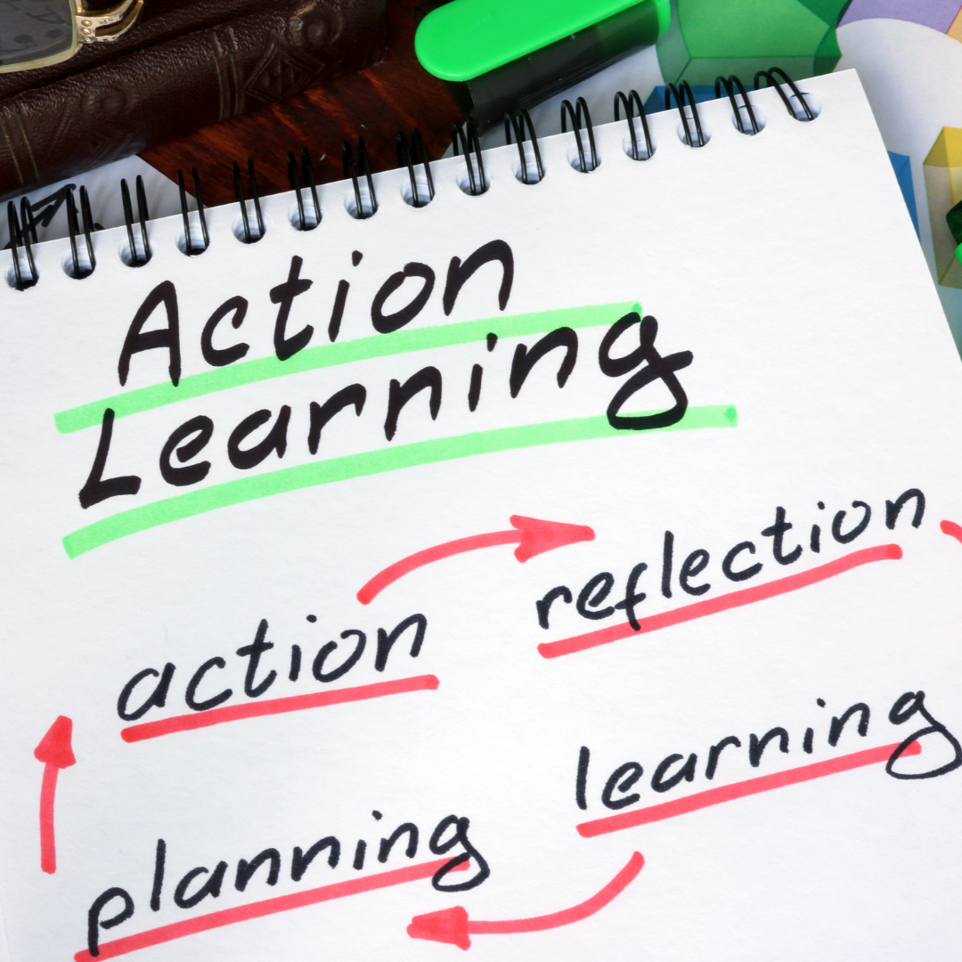 Action Learning for a virtual world - Halina Jaroszewska